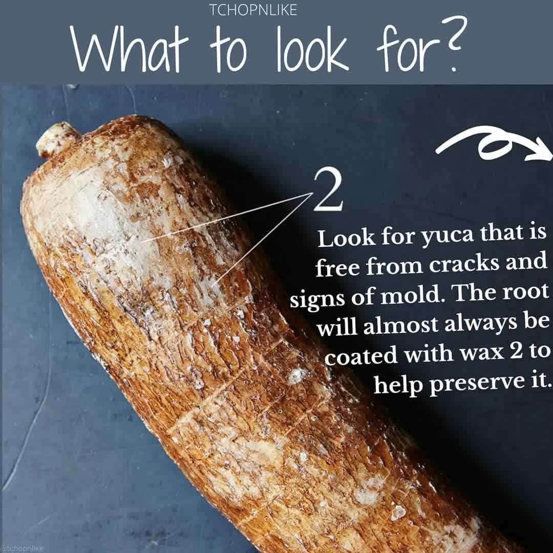 Tout savoir sur le manioc : bienfaits| recette manioc|conservation ...