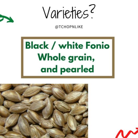 le Fonio : Qu'est ce que tu sait sur le fonio? : bienfaits, recette ...